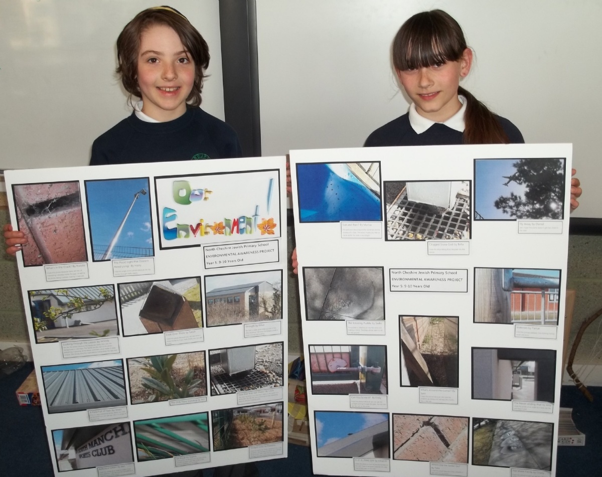 Year 5 Environmental Awareness Project - North Cheshire Jewish Primary ...